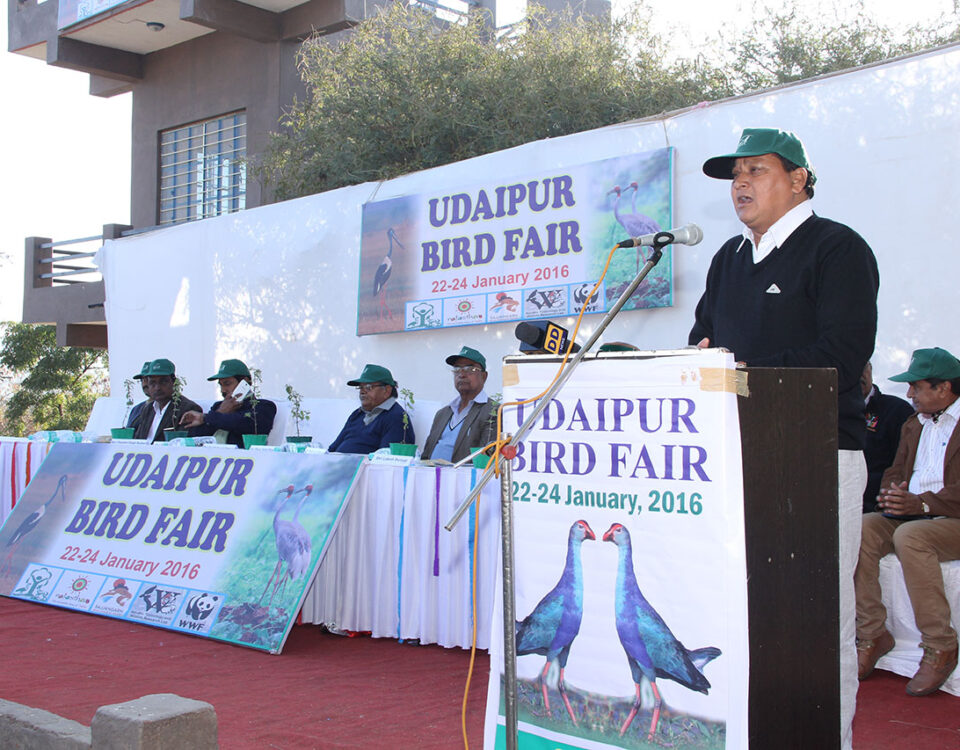 Udaipur Bird Festival – A Celebration of Wings and Nature!